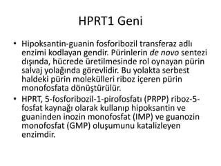 Housekeeping genler | PPTX