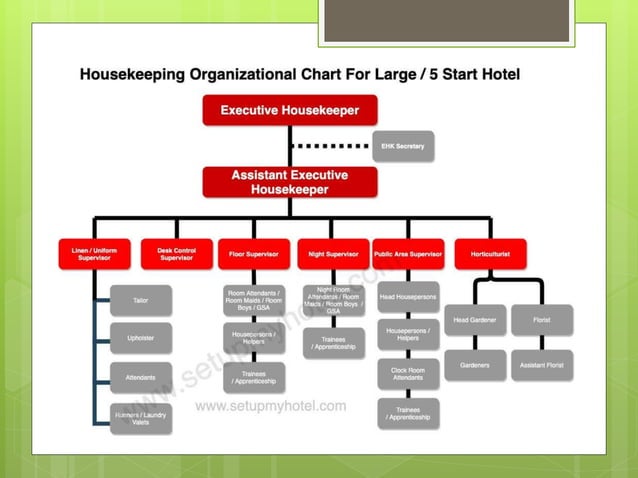 Housekeeping Organizational Chart.pptx