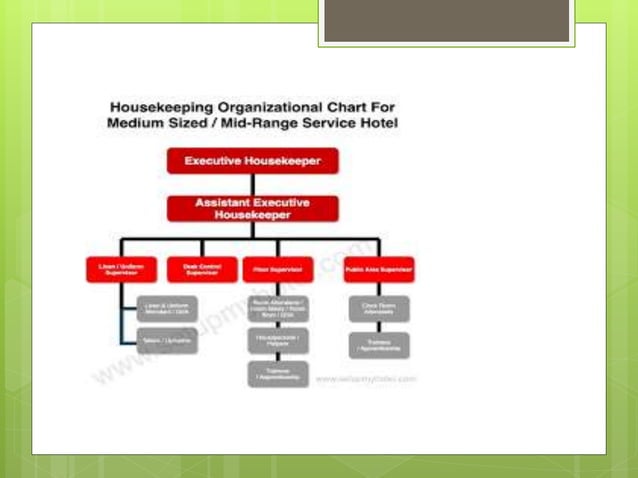 Housekeeping Organizational Chart.pptx
