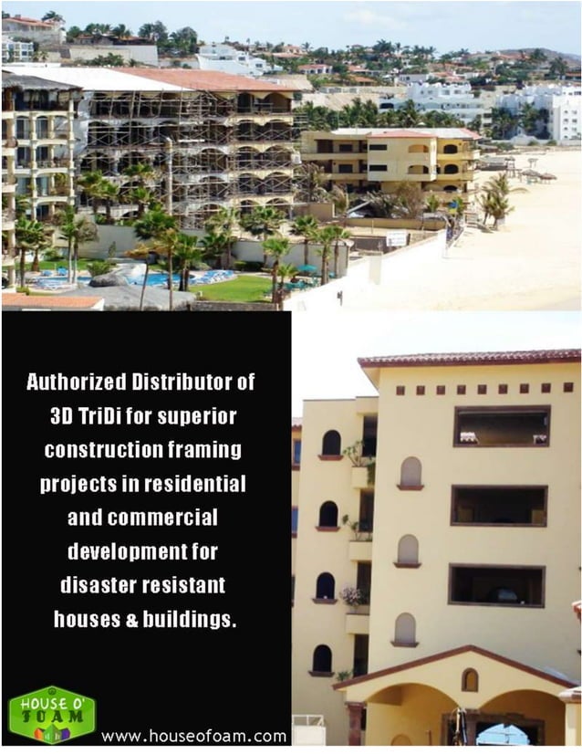 3D TriDi Panel | PDF