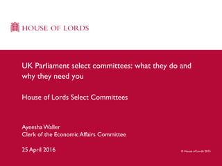 House of Lords Select Committees | PPT