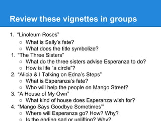 literary work House on Mango Street.pptx