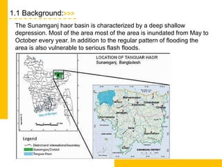 House pattern of h aor area copy | PPTX