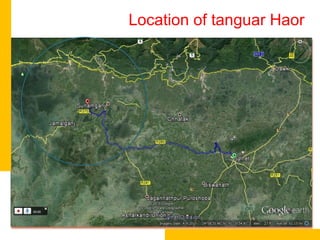 House pattern of h aor area copy | PPTX
