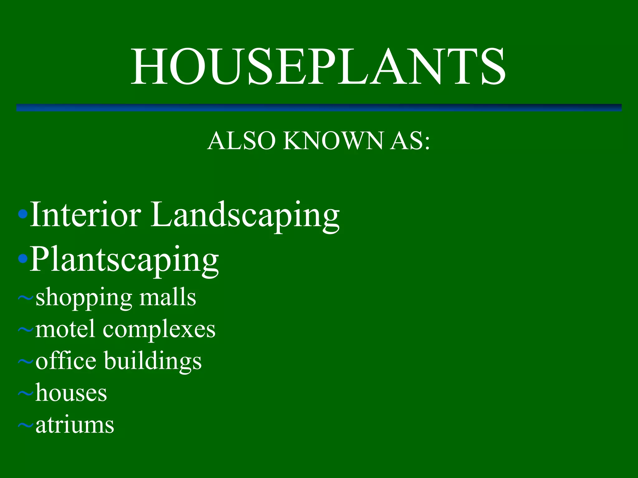 House Plant Introduction.ppt