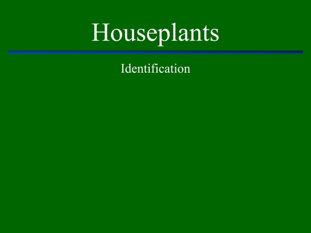 House Plant Introduction.ppt | Gardening | Home & Garden