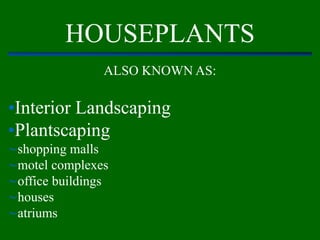 House Plant Introduction.ppt