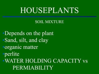 House Plant Introduction.ppt