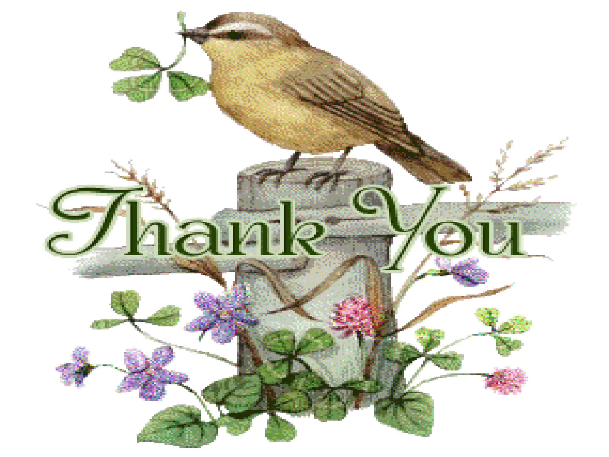 House sparrow conservation | PPT