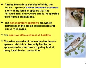 House sparrow conservation | PPT