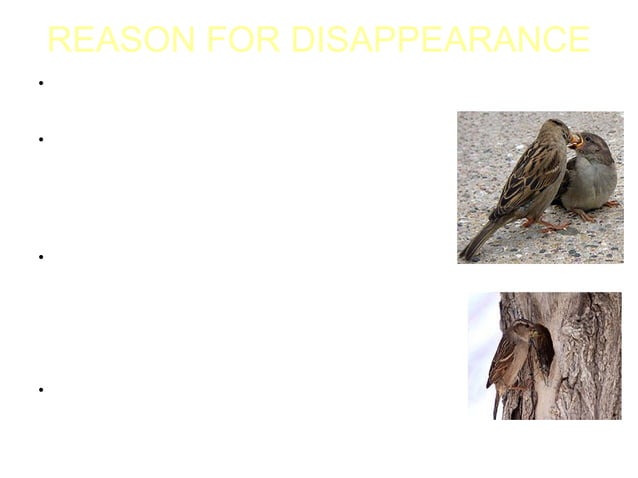 House sparrow conservation | PPT