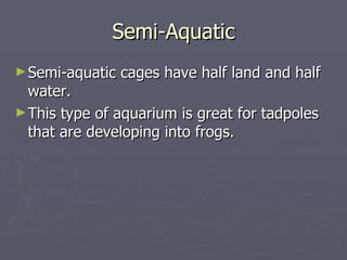 Amphibian Housing & equipment | PPT