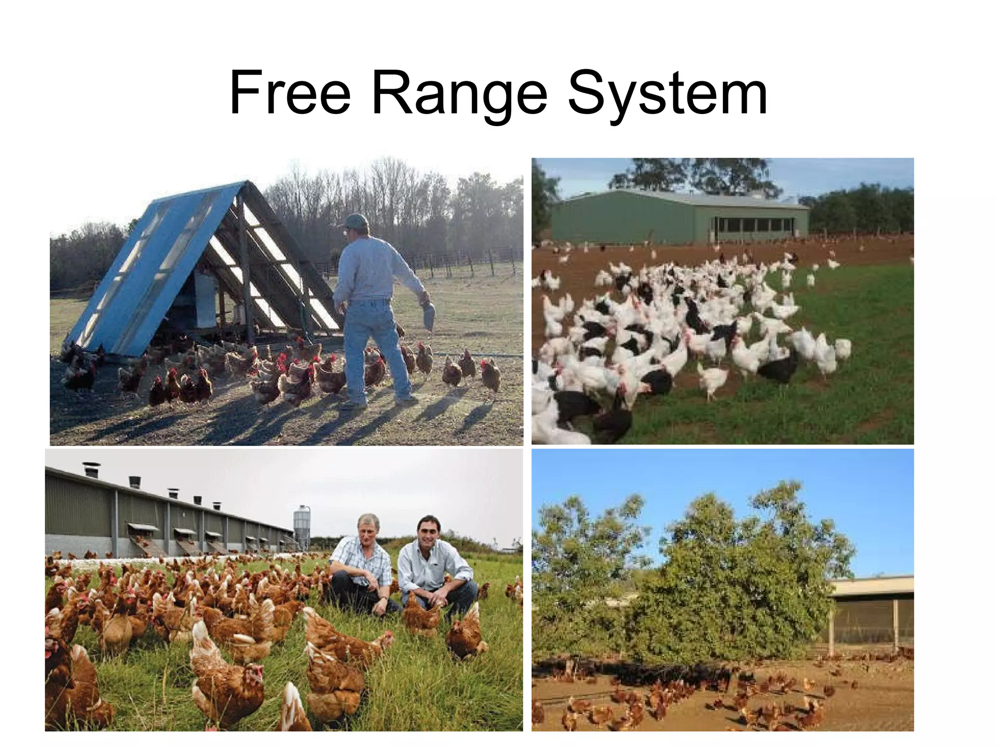 Housing&Equipments | PPT