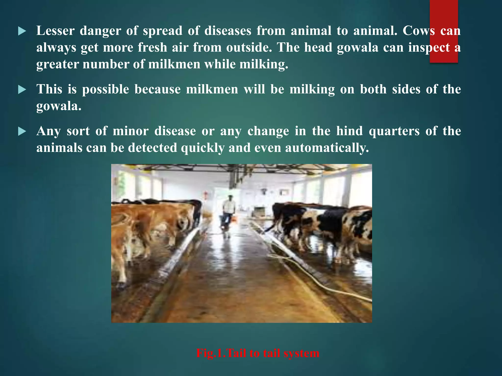 Housing & Equipments for dairy cows | PPTX