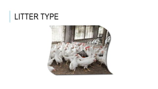 Housing for layer production | PPTX