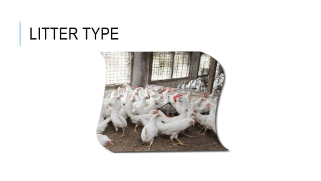 Housing for layer production | PPTX