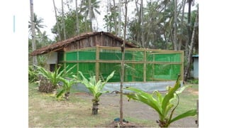 Housing for layer production | PPTX