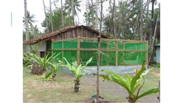 Housing for layer production | PPTX