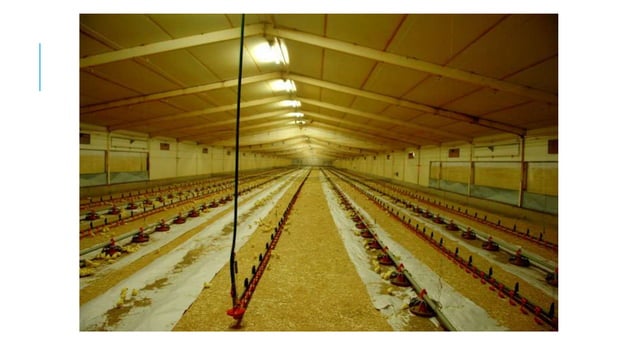 Housing for layer production | PPTX