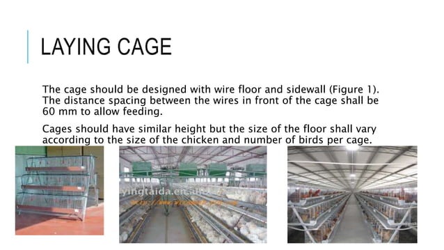 Housing for layer production | PPTX