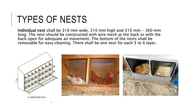 Housing for layer production | PPTX