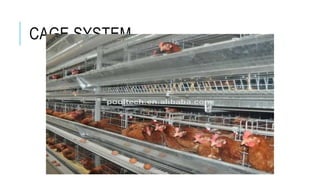 Housing for layer production | PPTX