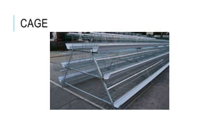 Housing for layer production | PPTX