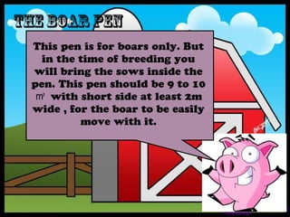 Housing for pigs | PPT