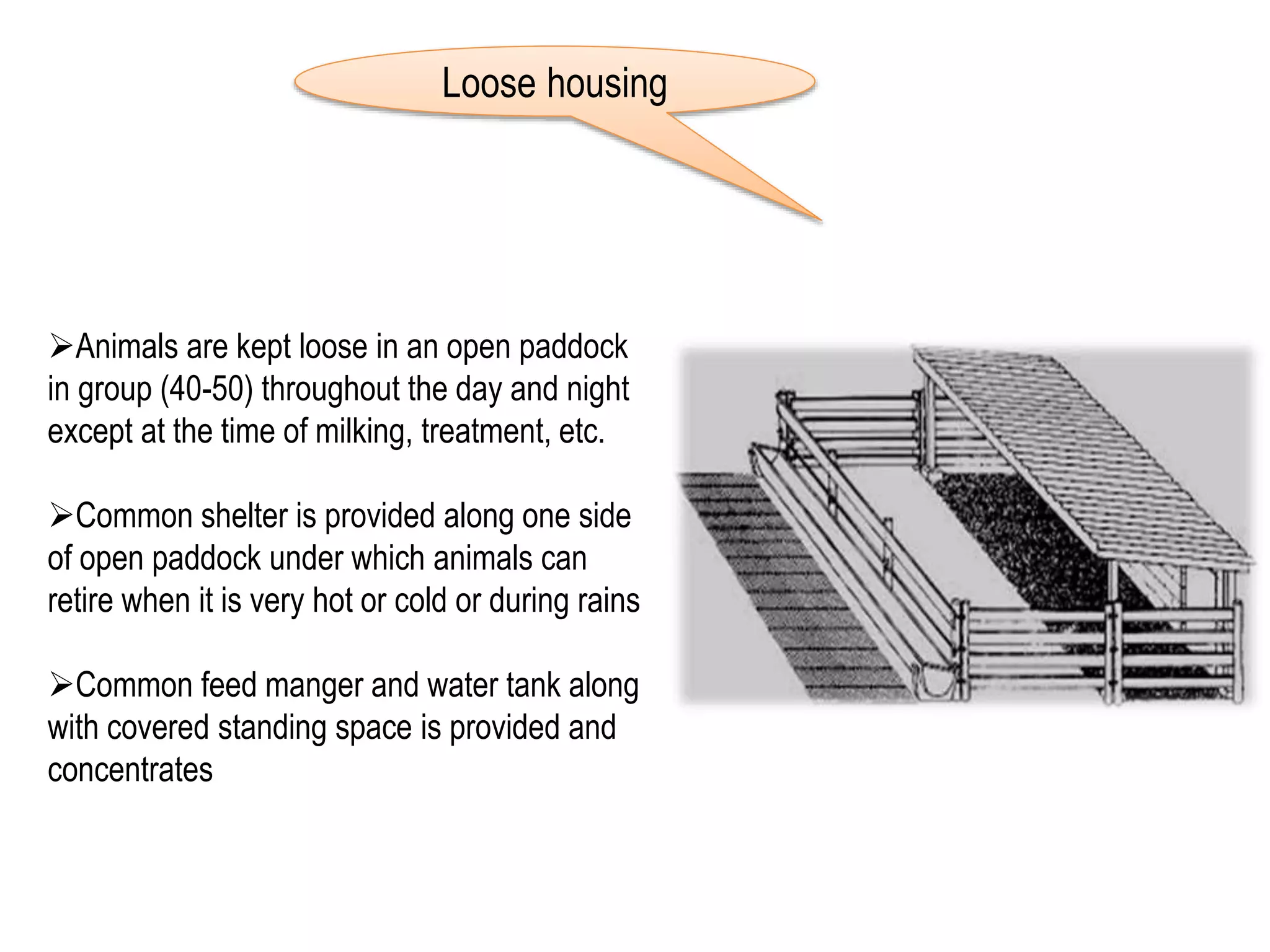 scientific housing system of farm animal for better productivity | PPTX