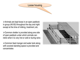 scientific housing system of farm animal for better productivity | PPTX