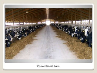 Different types of housing of animals | PPTX