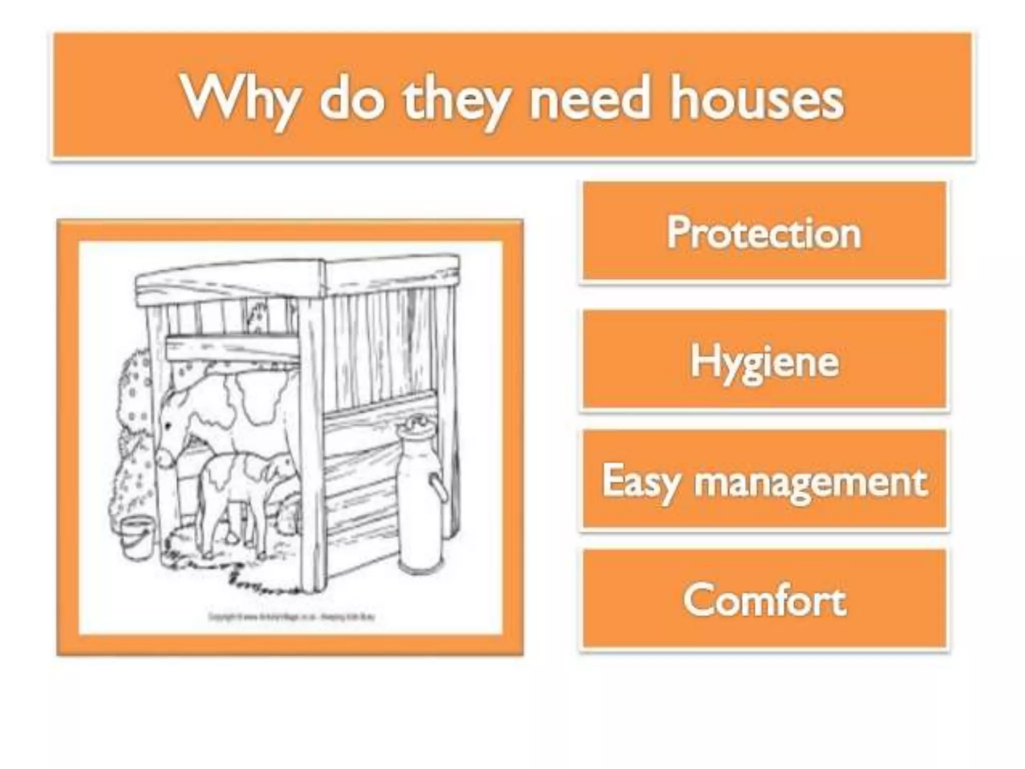 HOUSING OF CATTLE.pptx