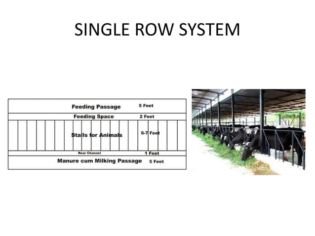 HOUSING OF CATTLE.pptx | Agriculture | Industries