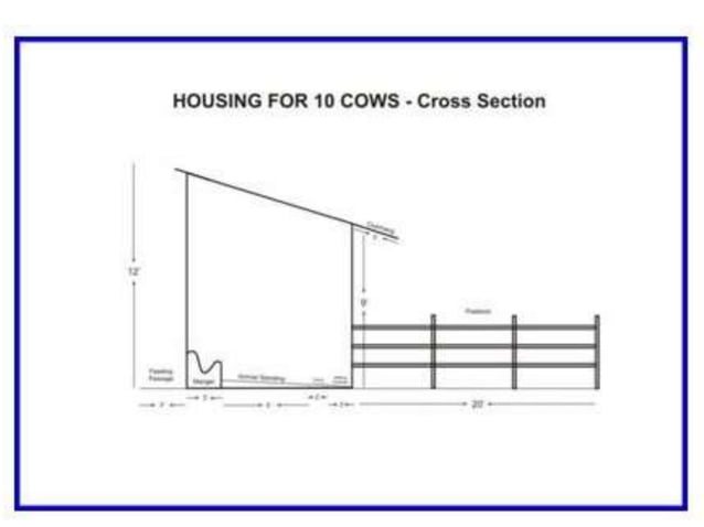 HOUSING OF CATTLE.pptx | Agriculture | Industries