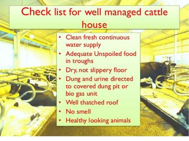 HOUSING OF CATTLE.pptx | Agriculture | Industries