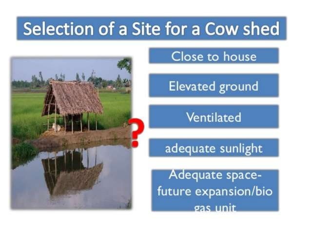 HOUSING OF CATTLE.pptx | Agriculture | Industries