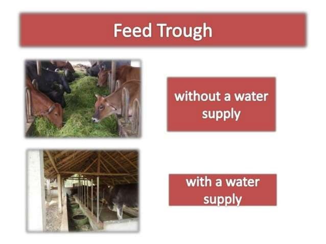 HOUSING OF CATTLE.pptx | Agriculture | Industries