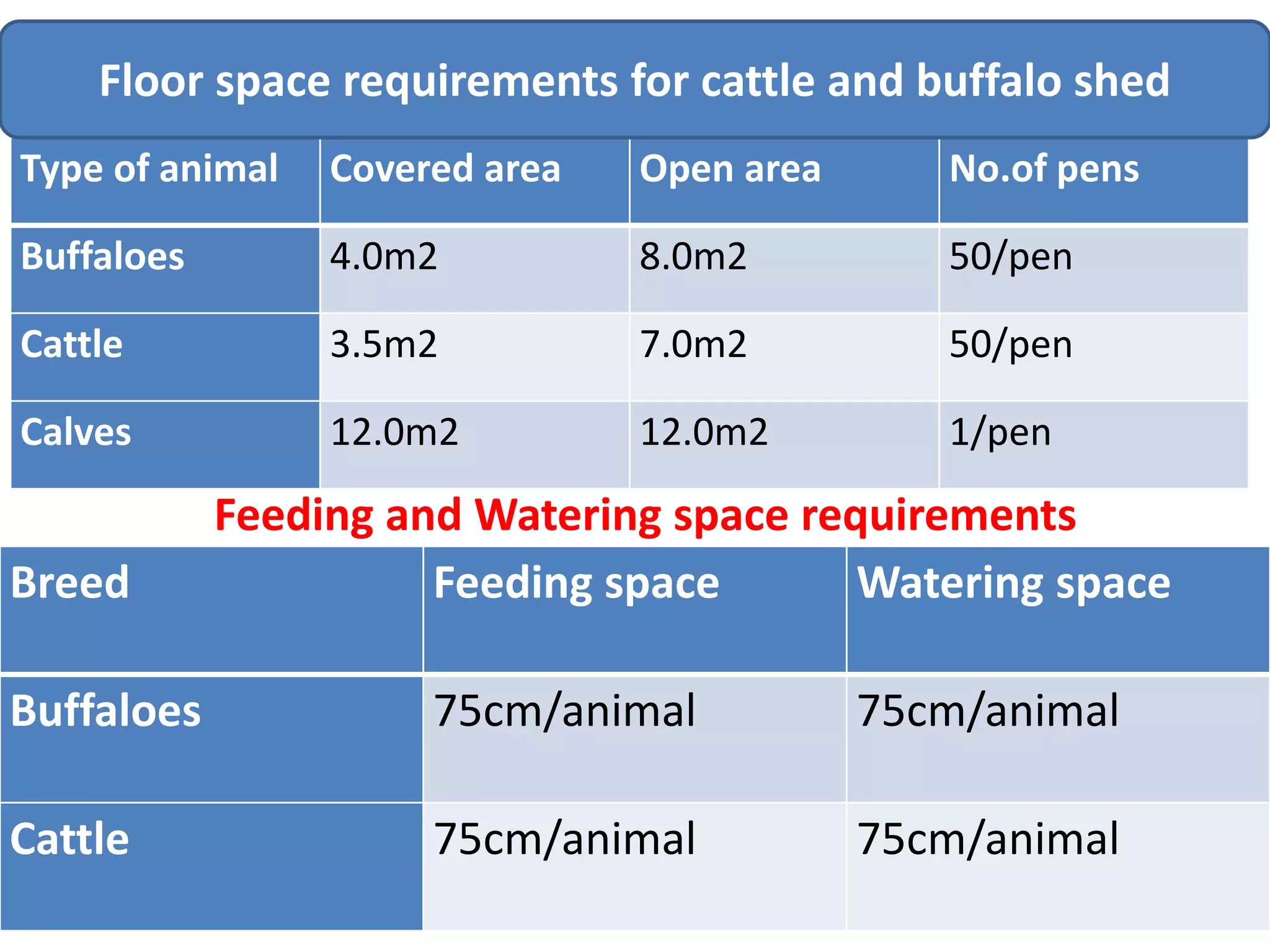 housing of dairy cattle.pptx