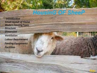 Housing of sheef | PPTX