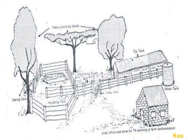 Housing of sheef | PPTX