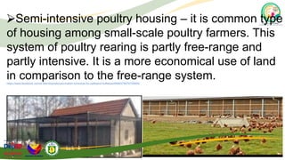 Housing requirements Poultry and Livestock Animals.pptx