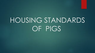 Veterinary Housing standards of pigs.pptx