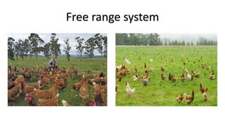 Housing system | PPTX