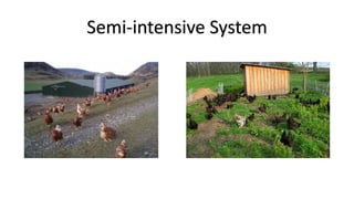 Housing system | PPTX