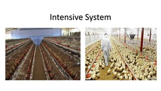 Housing system | PPTX