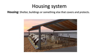 Housing system | PPTX