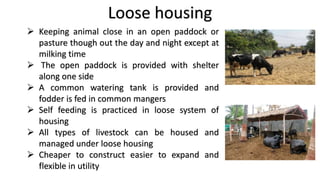 Housing system | PPTX