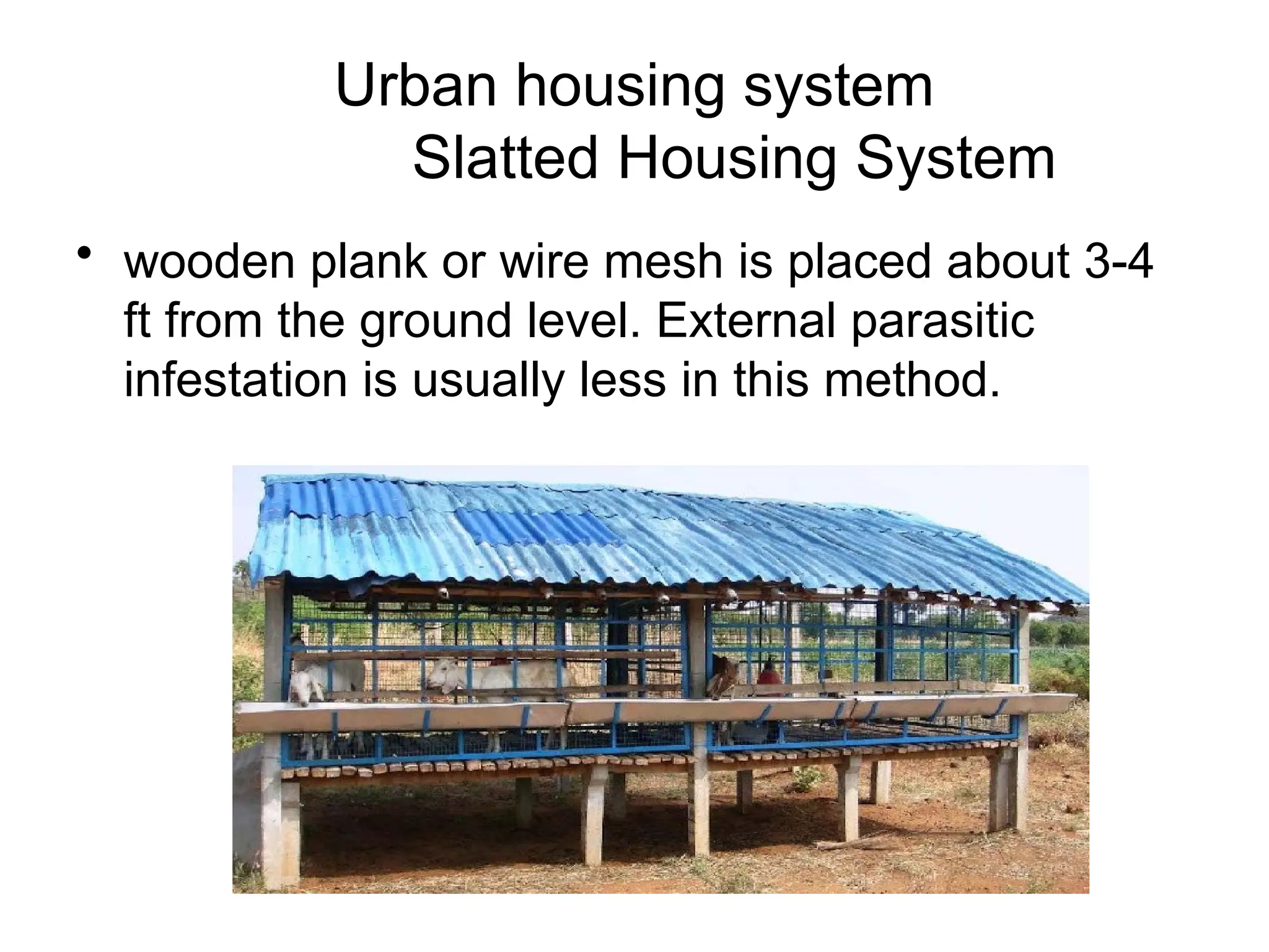 HOUSING SYSTEM OF SHEEP AND GOAT In Nepal | PPTX