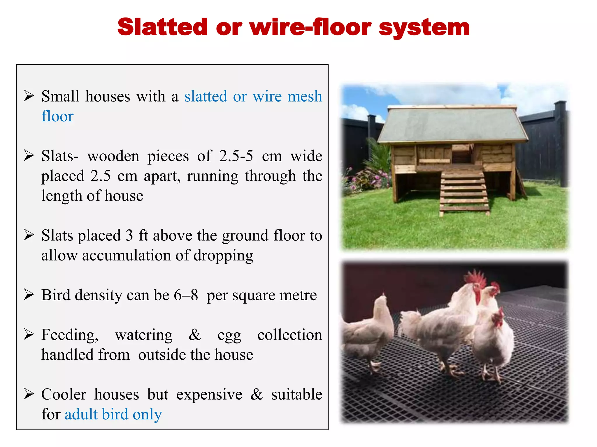 Housing systems of modern poultry | PPTX