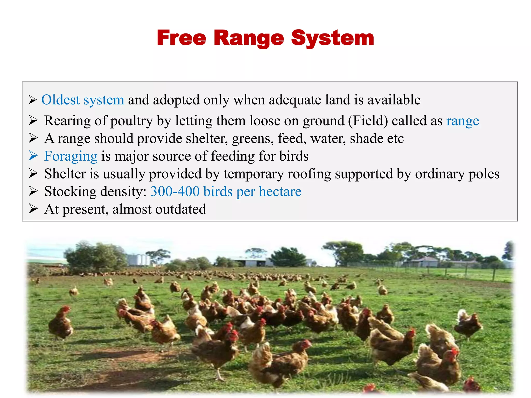 Housing systems of modern poultry | PPTX